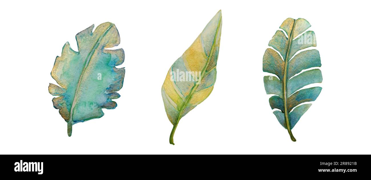 Tropical watercolor leaves set. Watercolor with gold. Vector ...