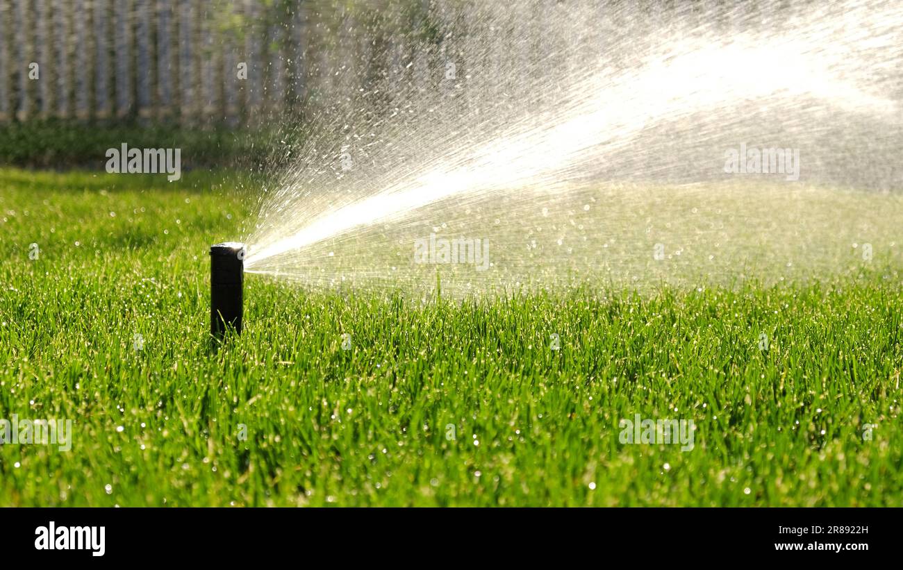 Automatic garden irrigation system watering lawn with adjustable head ...