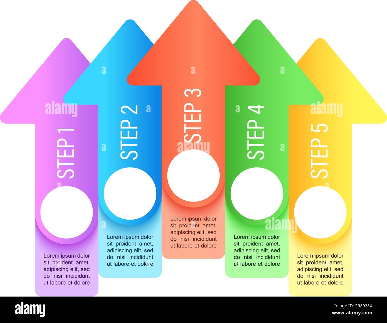 Business expansion infographic chart design template Stock Vector Image ...
