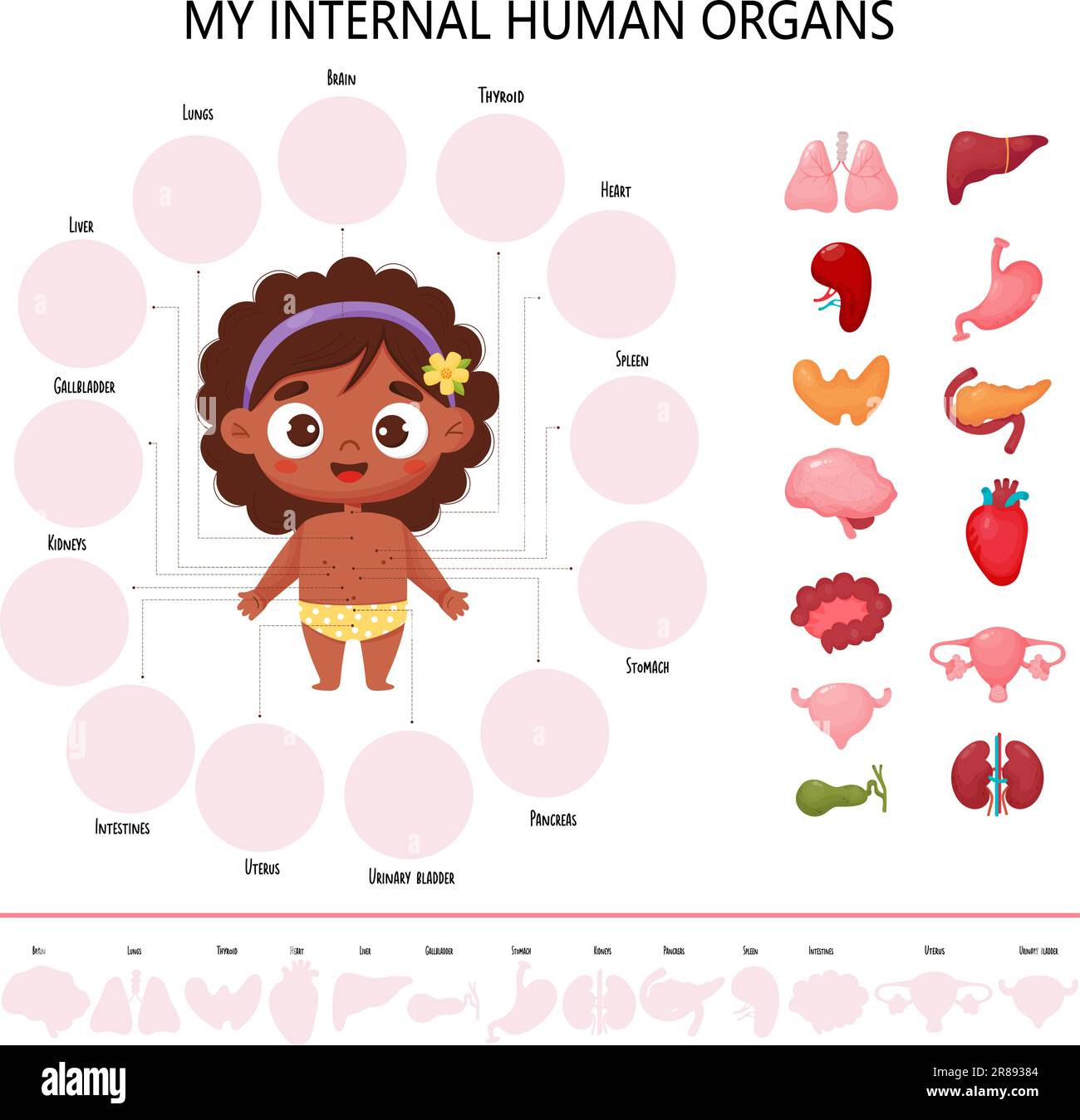 Anatomy human body. Infographics with cute black ethnic girl. Visual ...