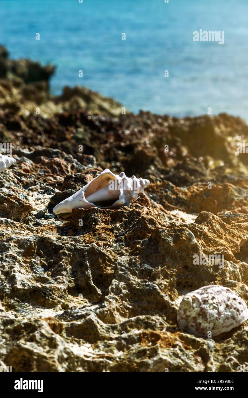 Lapiez hi-res stock photography and images - Alamy