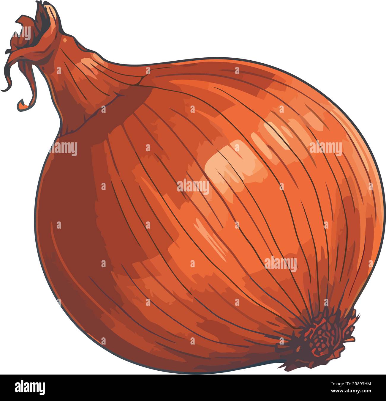 Fresh vegetable onion icon Stock Vector Image & Art - Alamy Fresh vegetable onion icon Stock Vector Image & Art - Alamy