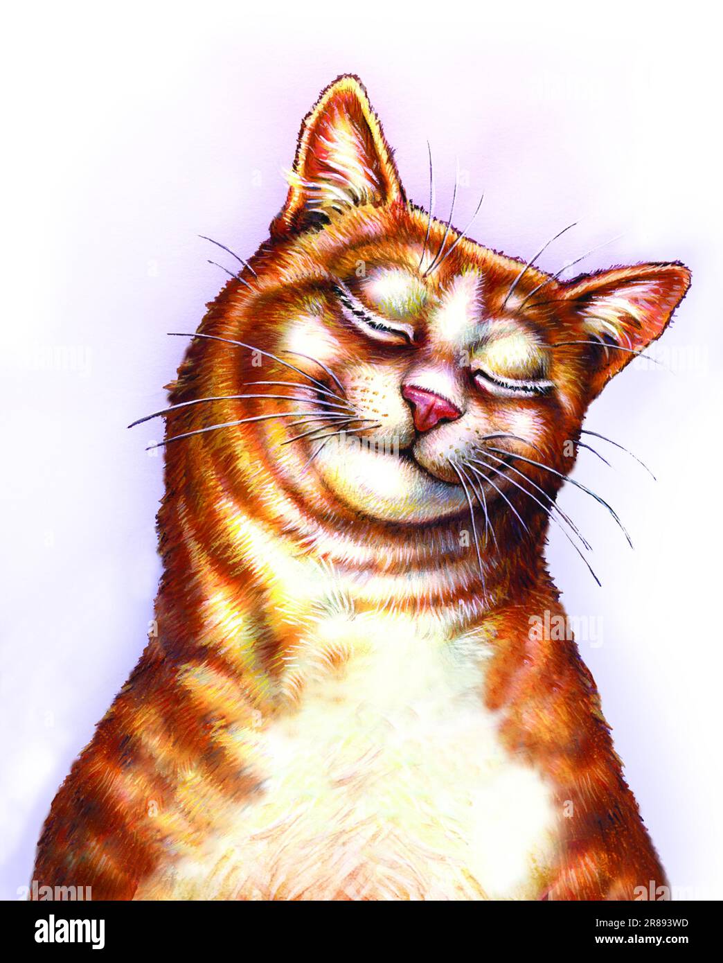 Smug hi-res stock photography and images - Alamy