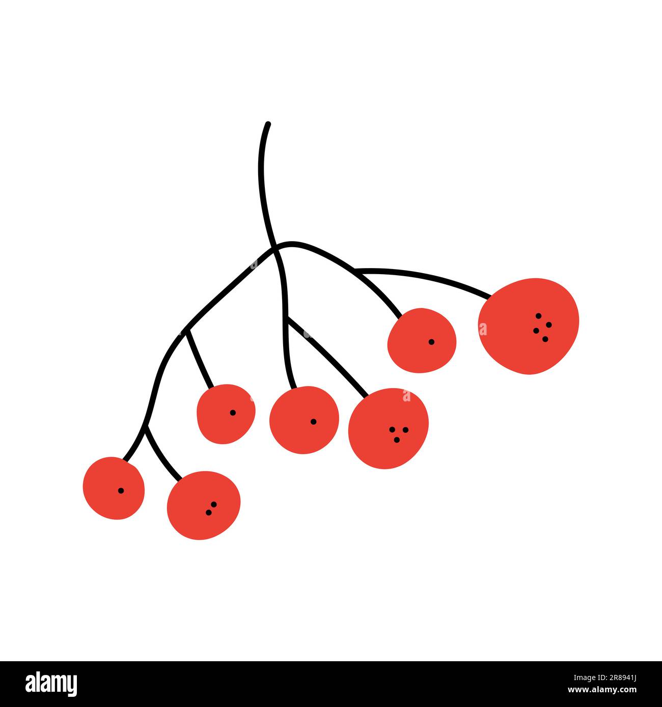 Rowanberry. Hand drawn sketch icon of twig with berries. Isolated ...