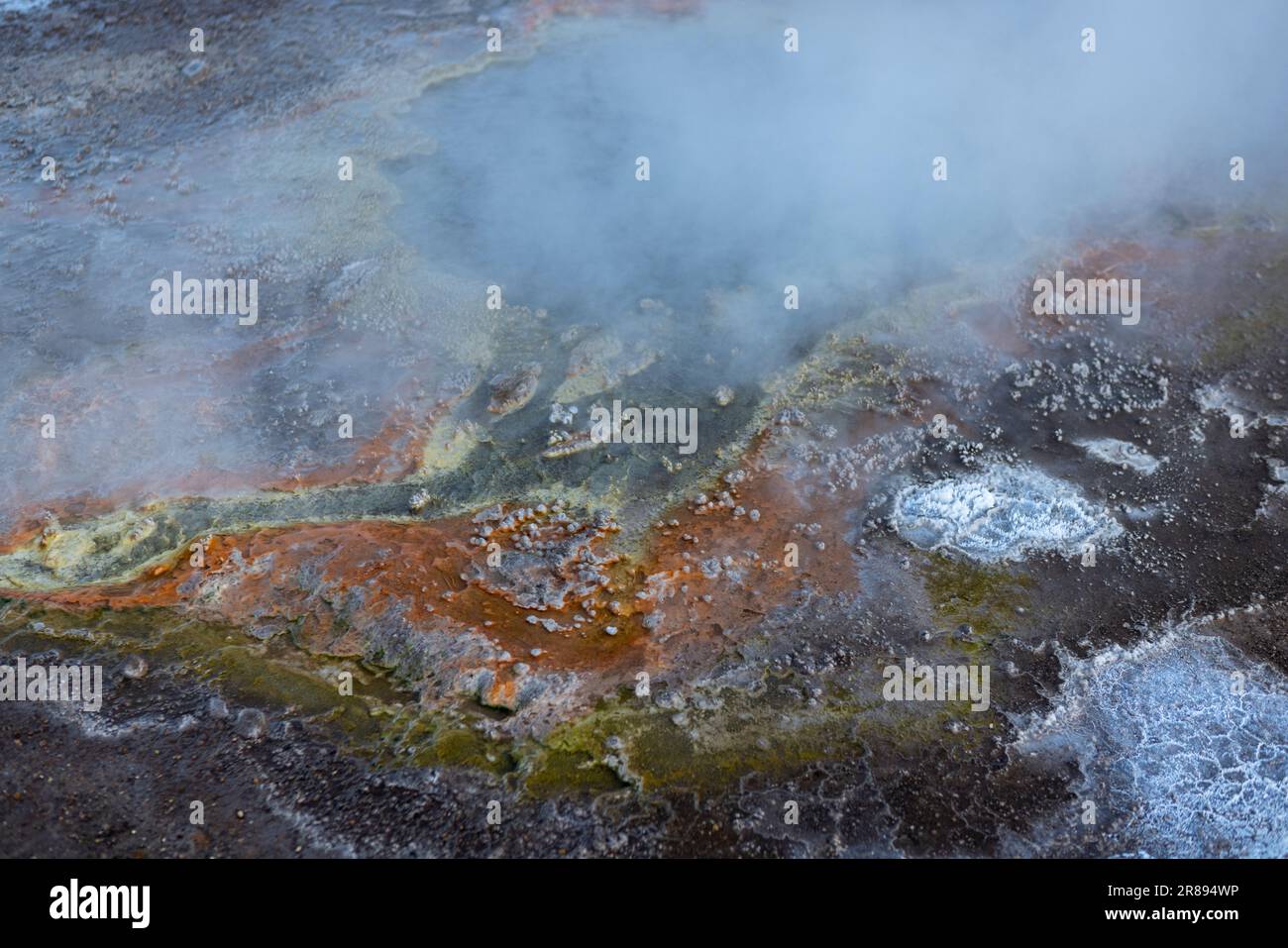 Exploring the fascinating geothermic fields of El Tatio with its ...