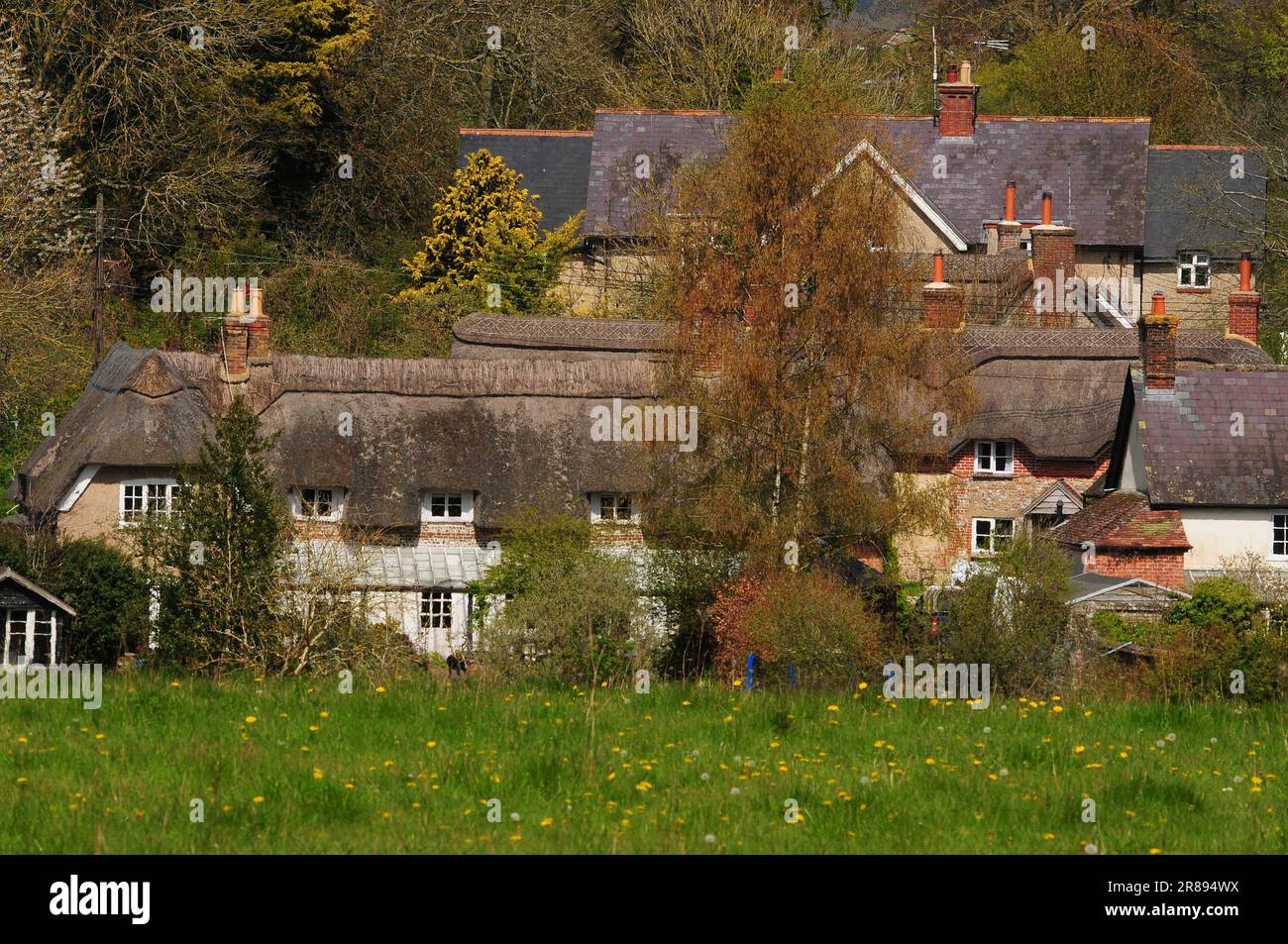 The rural village of Chettle in north Dorset, UK Stock Photo - Alamy