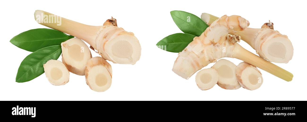 Fresh galangal root with slices isolated on white background with full ...