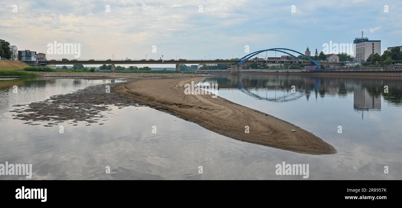 Fish measuring station hi-res stock photography and images - Alamy