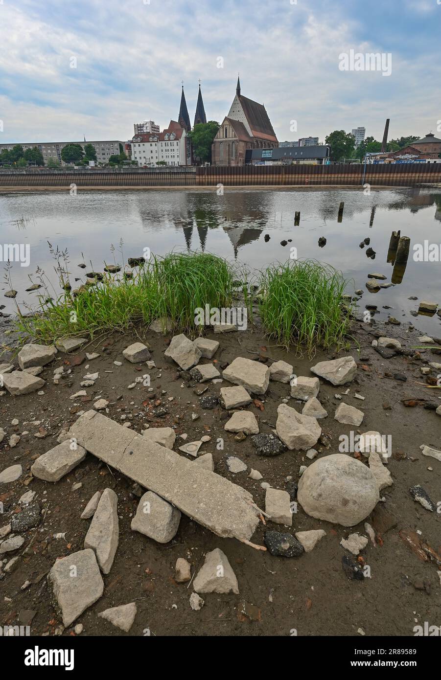 Fish measuring station hi-res stock photography and images - Alamy