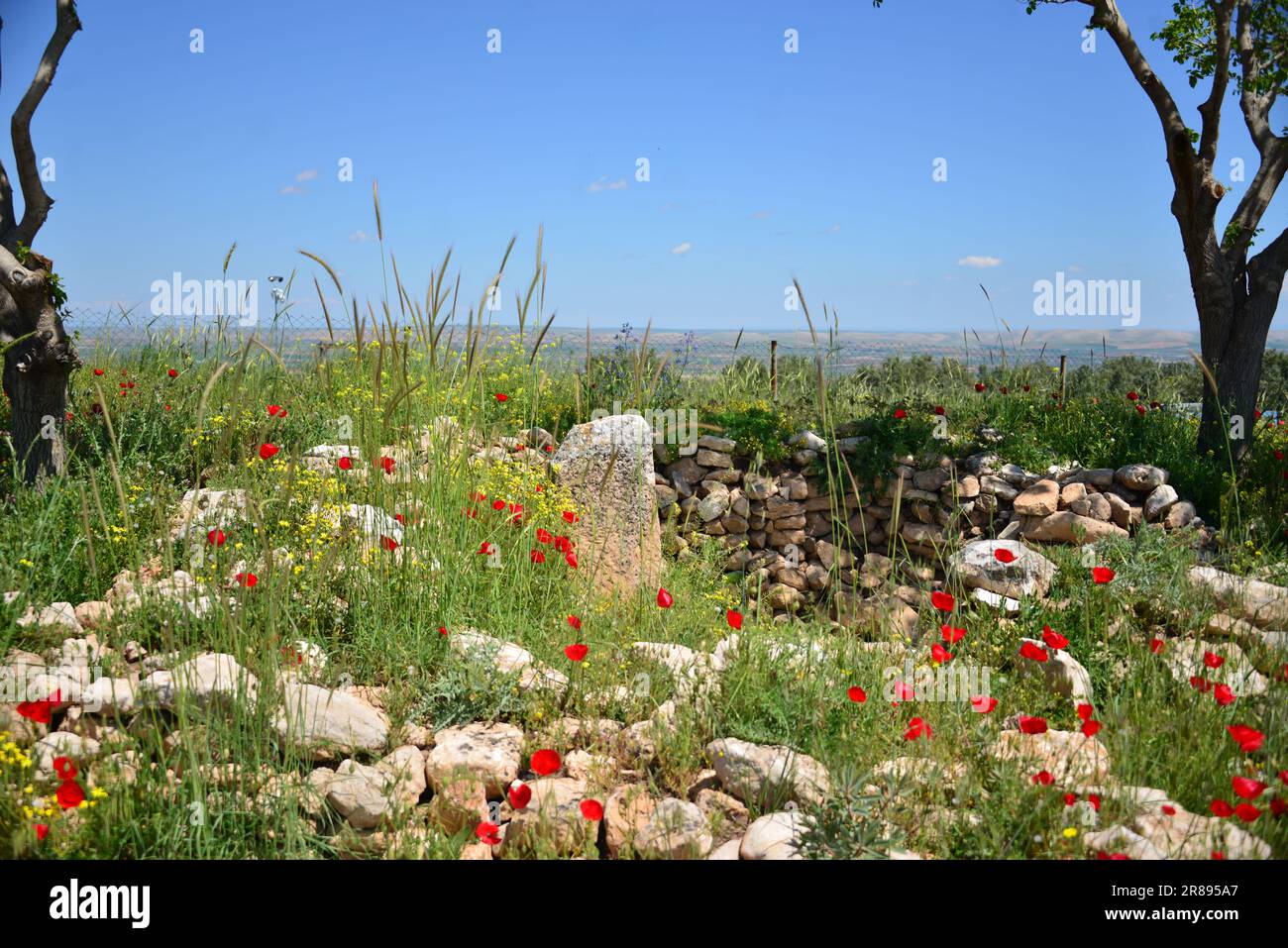 Göbekli Tepe is an archaeological site, located about 18 km northeast ...