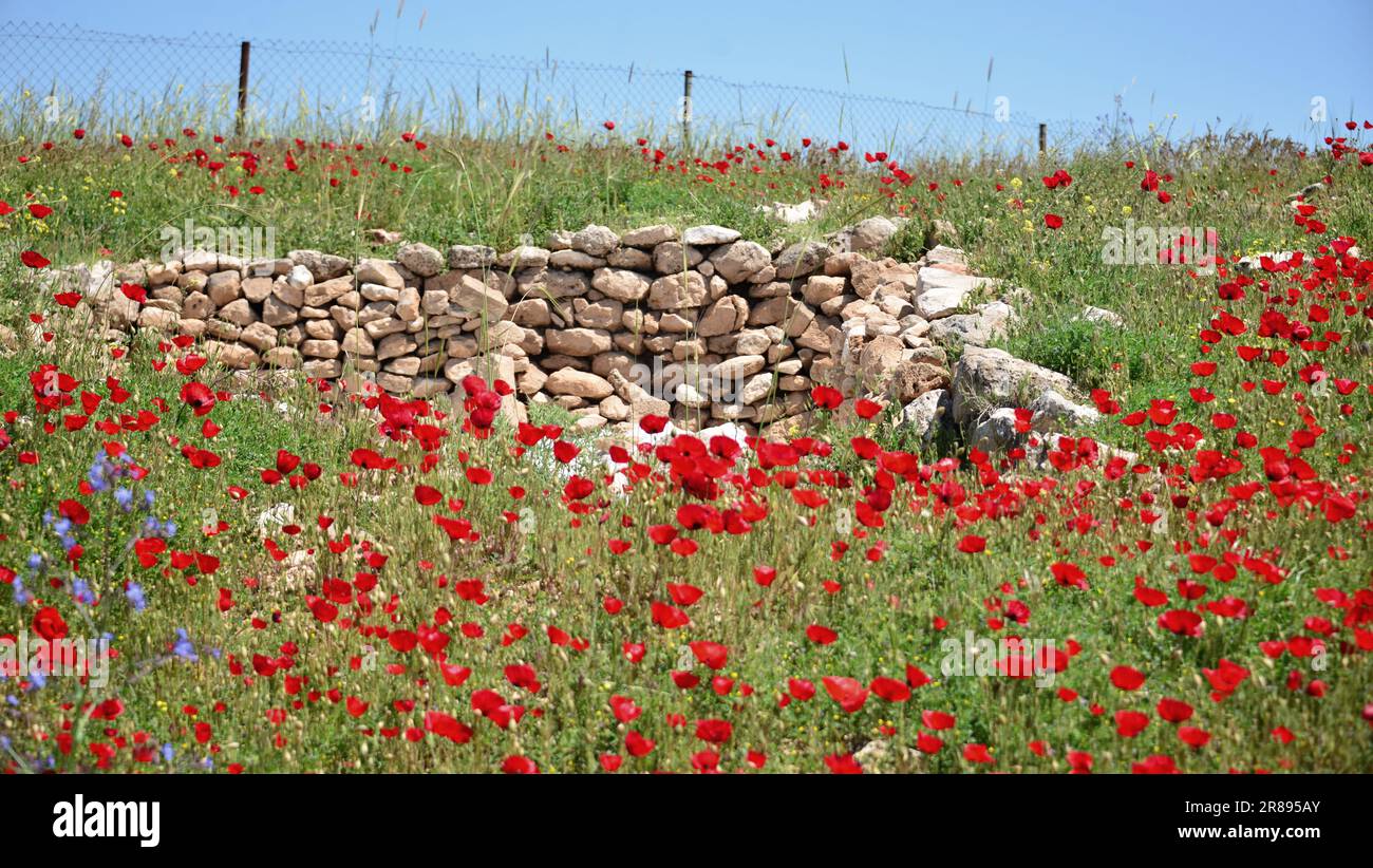 Göbekli Tepe is an archaeological site, located about 18 km northeast ...