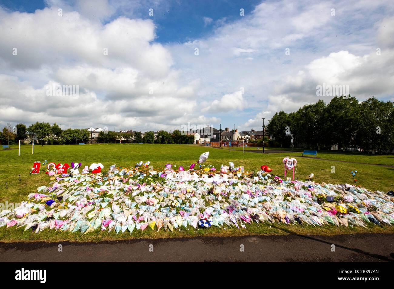 Floral tributes at King George's Park in Harryville, Ballymena, in ...