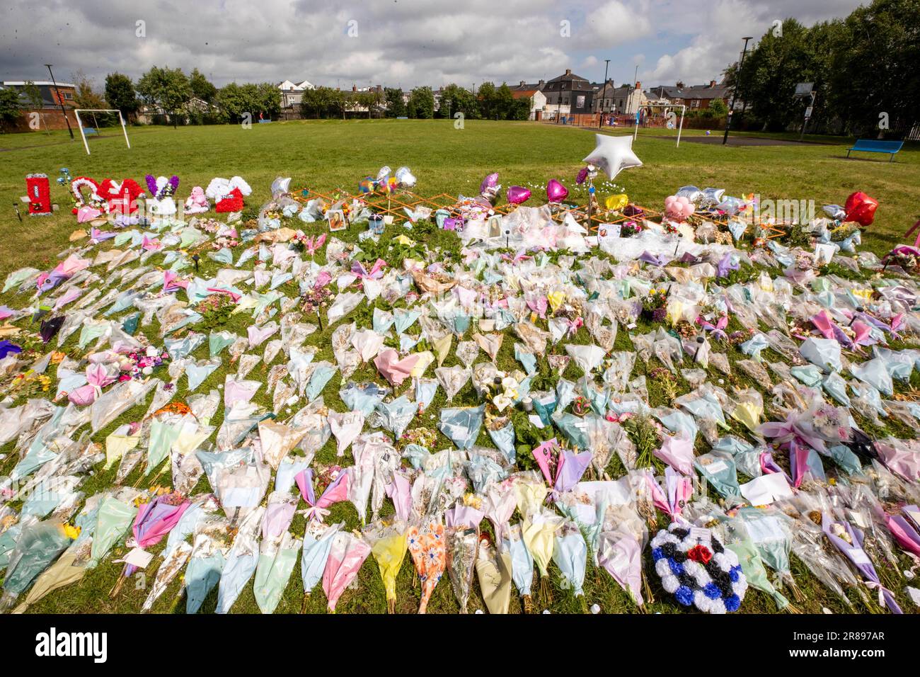 Floral tributes at King George's Park in Harryville, Ballymena, in ...