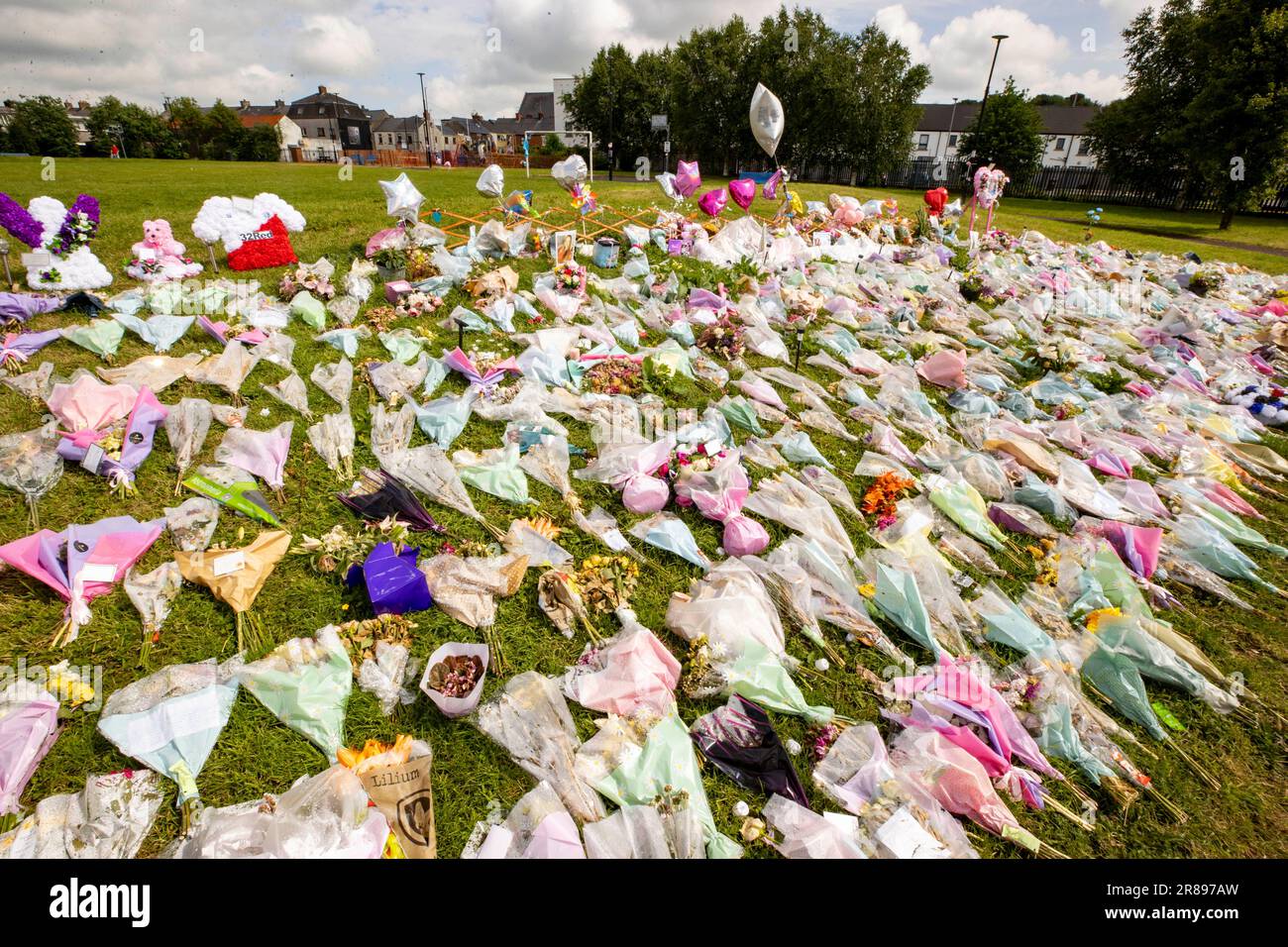Floral tributes at King George's Park in Harryville, Ballymena, in ...
