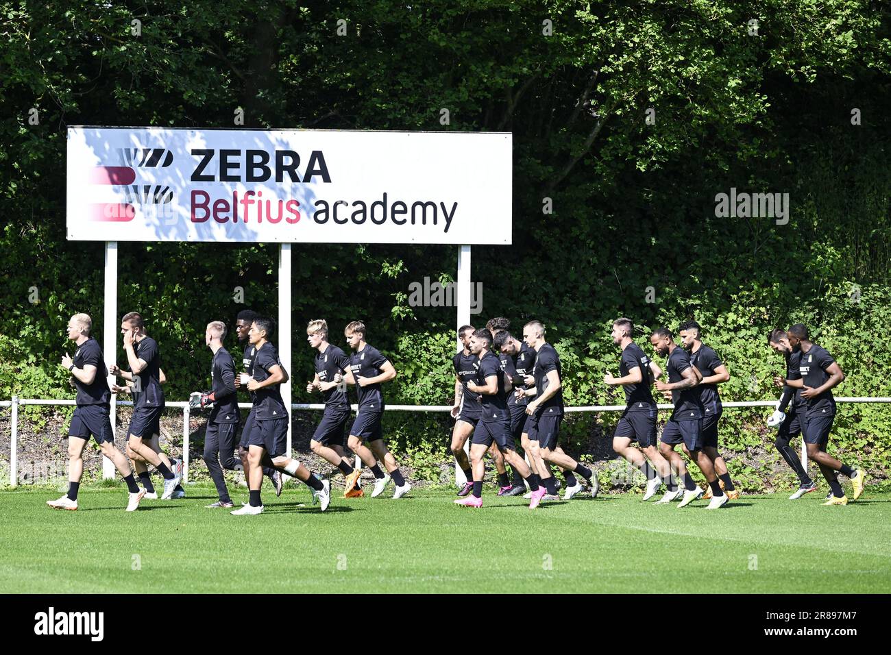 Illustration picture shows the start of a training session of Belgian ...