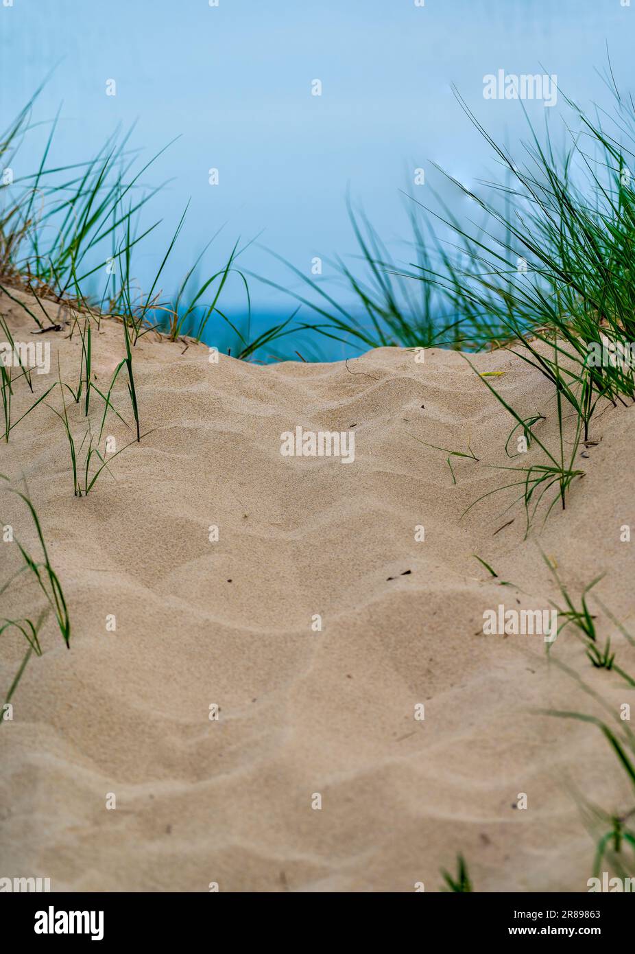 A path to the beach in summer Stock Photo - Alamy