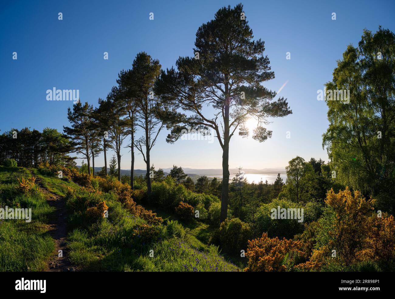 Bridei hi-res stock photography and images - Alamy