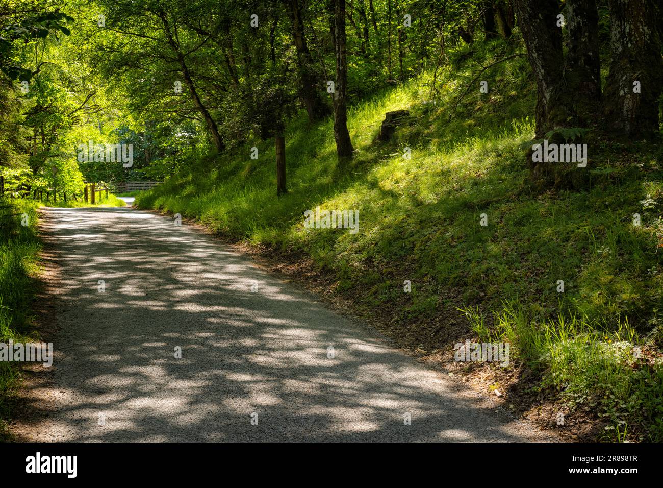 The lush greens of late spring/early summer are fully evident now in ...