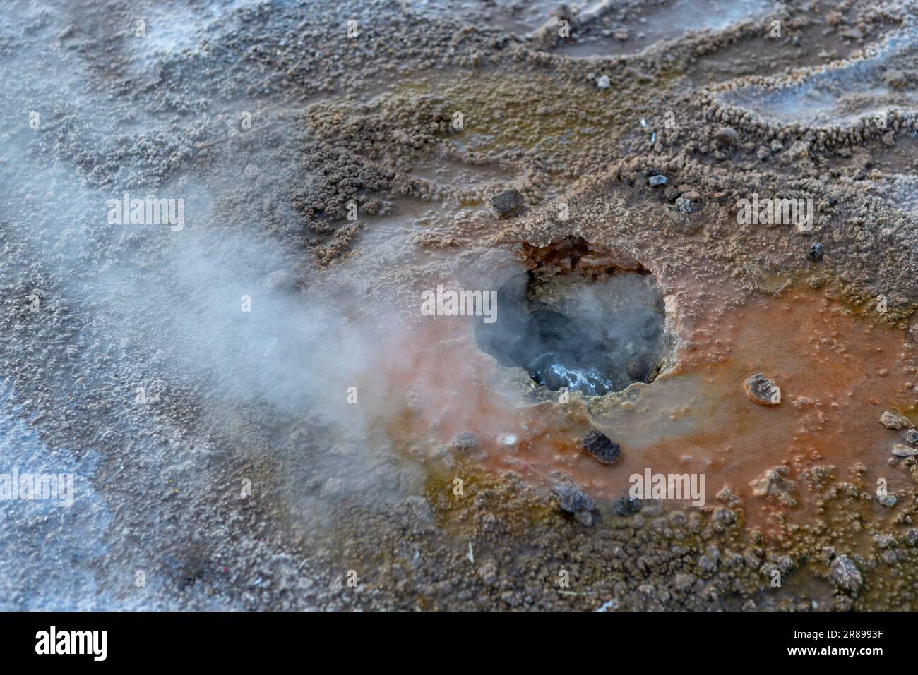 Exploring the fascinating geothermic fields of El Tatio with its ...