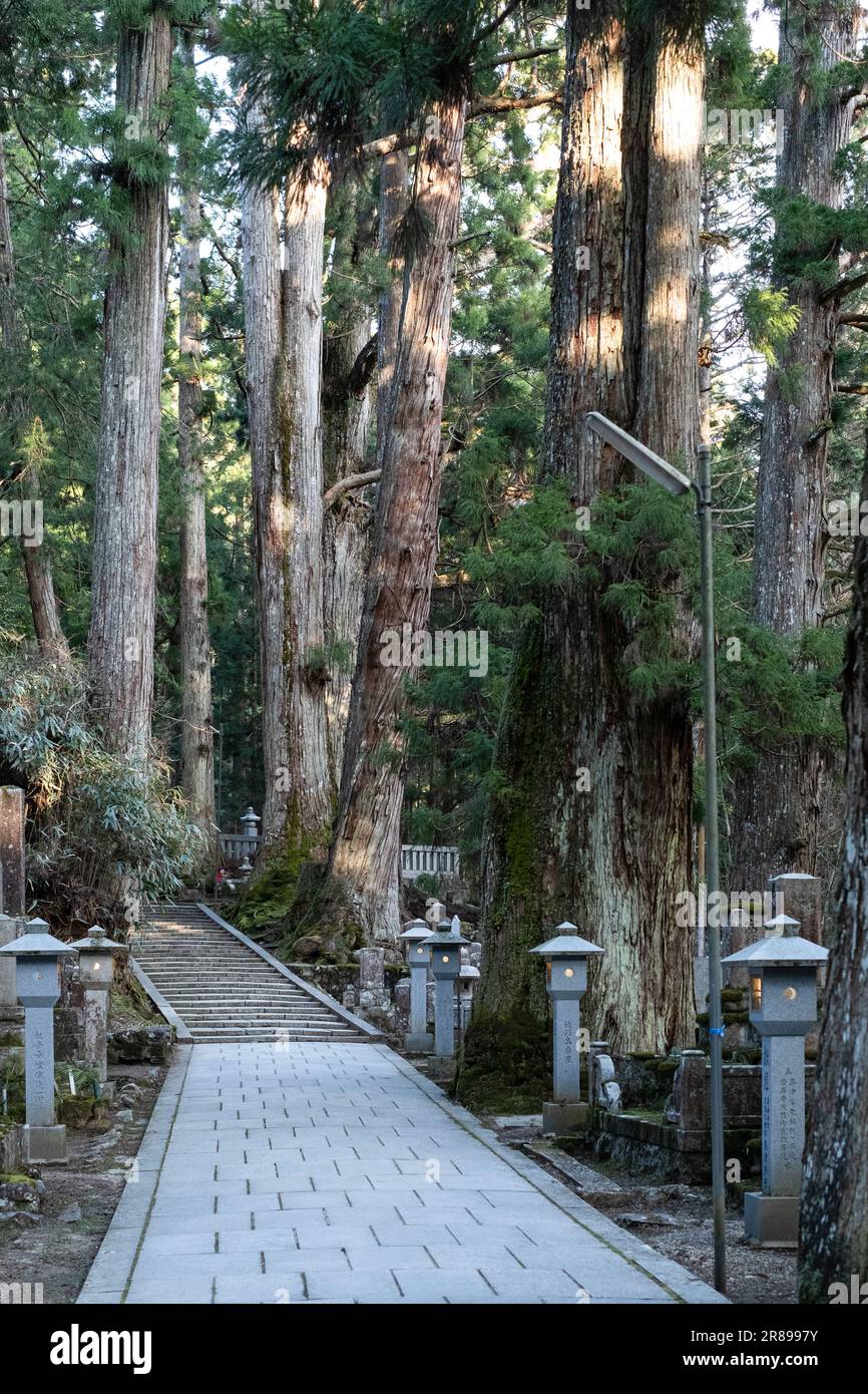 Path through Okunoin's cemetery, Koyasan, Japan Stock Photo - Alamy