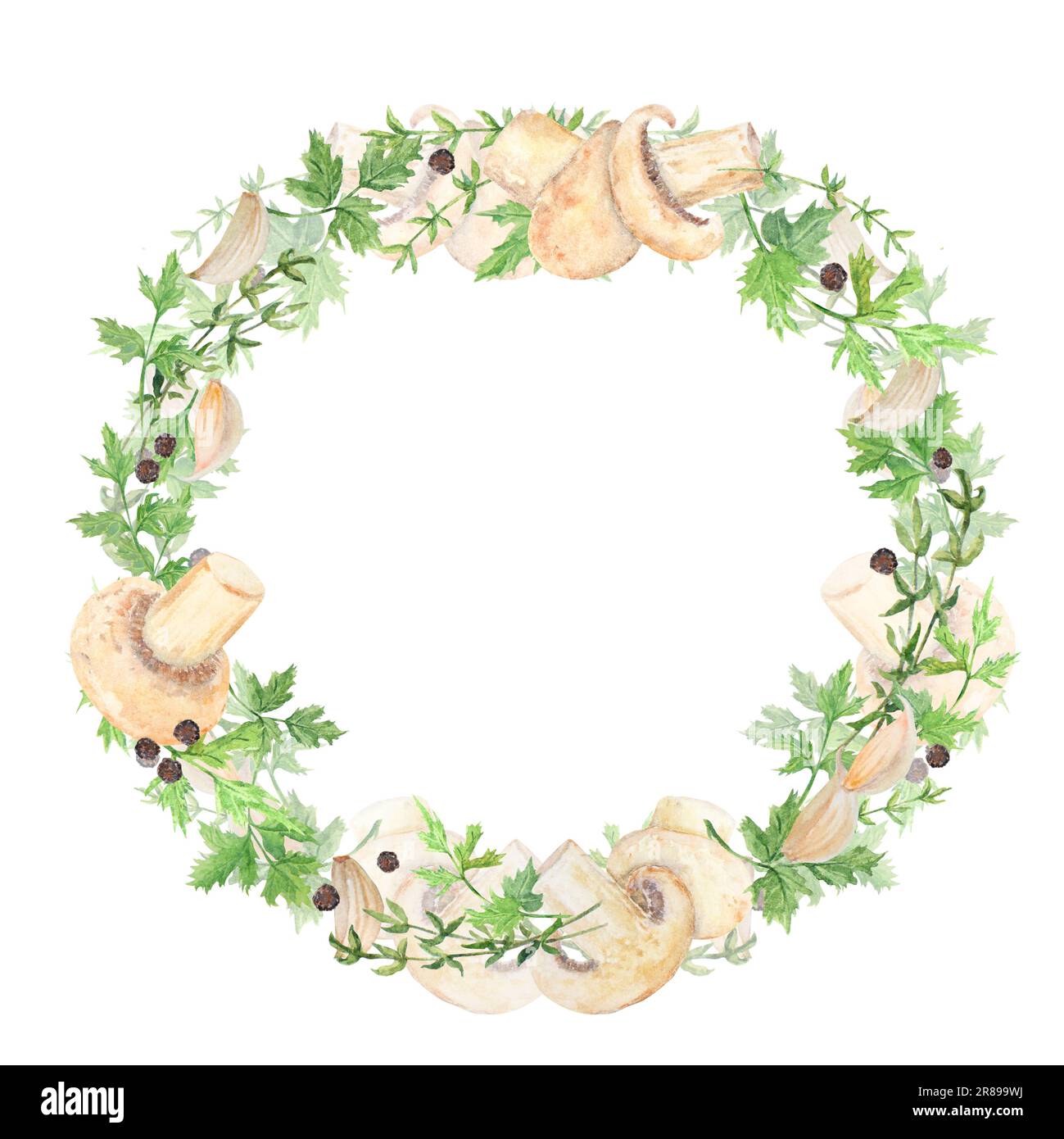 Watercolor illustration of mushroom soup. Champignon. Botanical ...