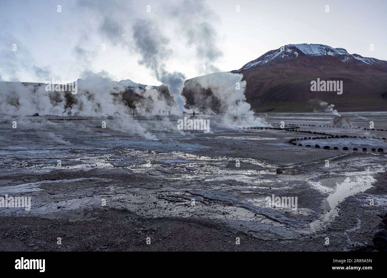 Exploring the fascinating geothermic fields of El Tatio with its ...