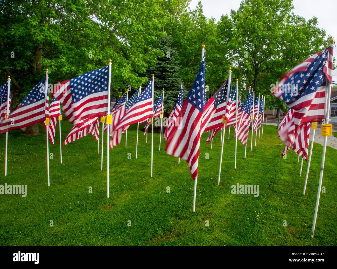 American flags on display in a park in the resort town of Greenport, NY ...