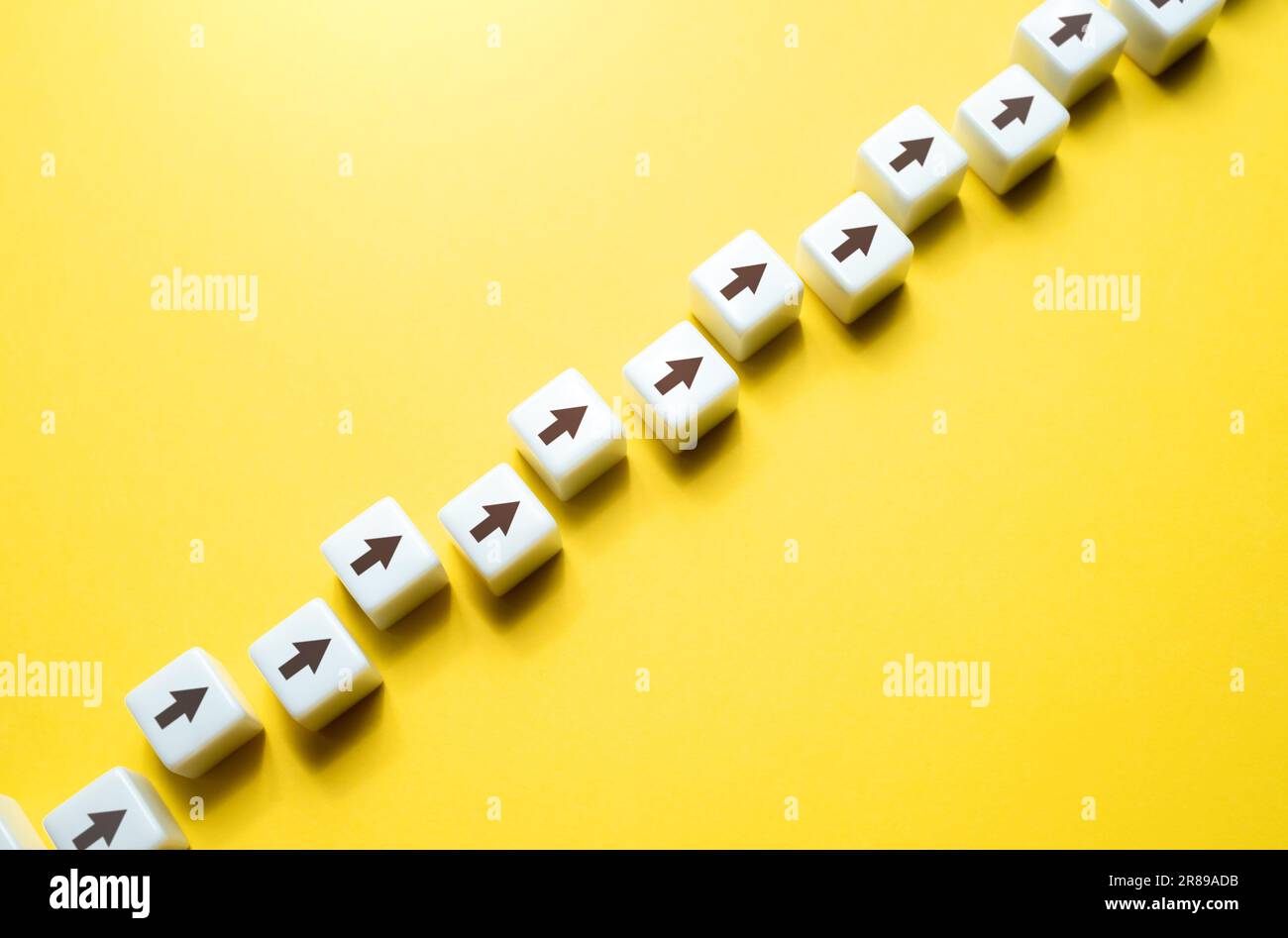 Paving the way forward. The life path. Mind your own business ...