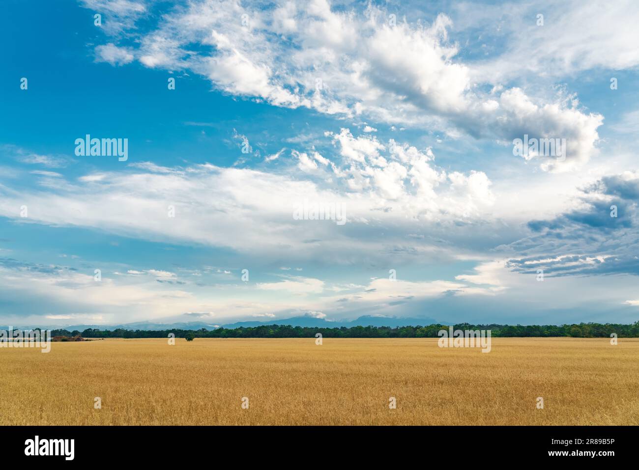 Field ranges hi-res stock photography and images - Alamy