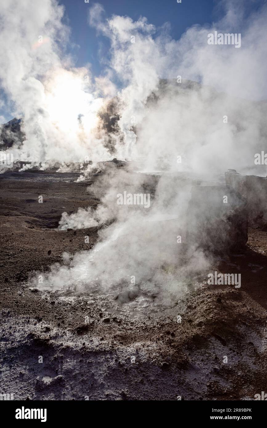 Exploring the fascinating geothermic fields of El Tatio with its ...