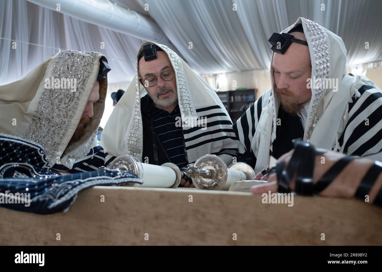 A weekday Torah reading at an orthodox Jewish synagogue in a tent in ...