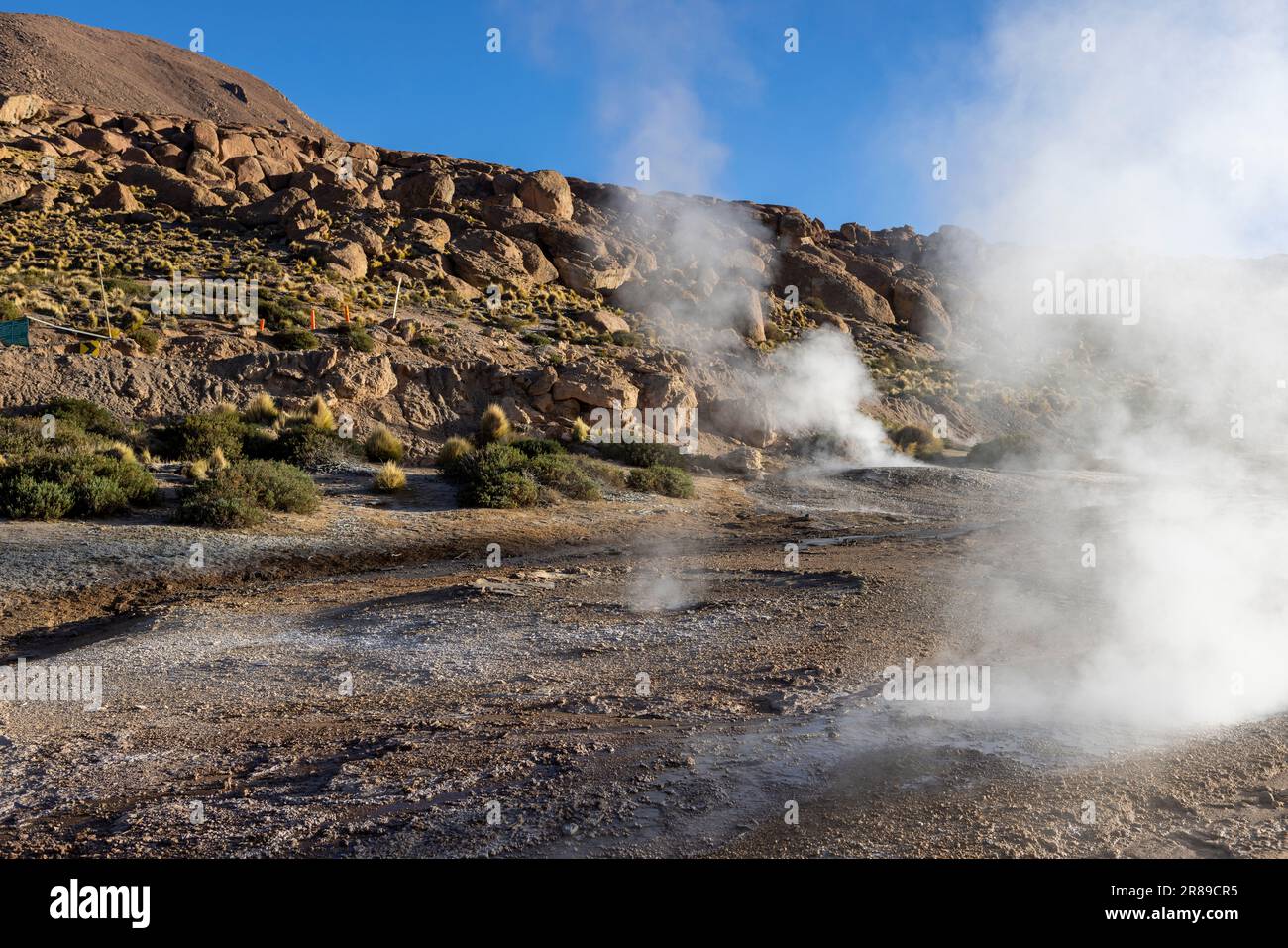 Exploring the fascinating geothermic fields of El Tatio with its ...