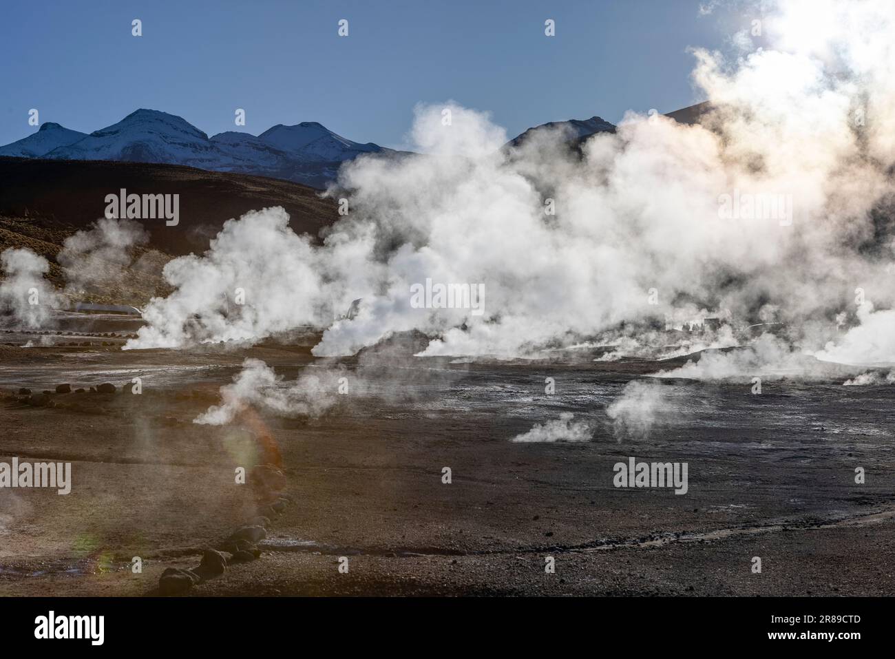 Exploring the fascinating geothermic fields of El Tatio with its ...