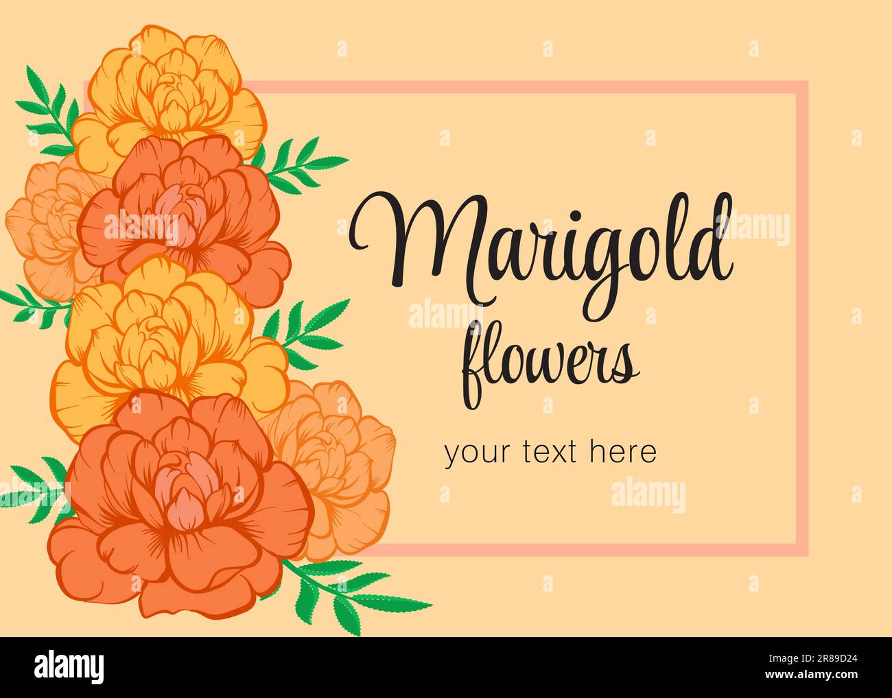 Frame with beautiful Marigolds flowers on a light orange background ...