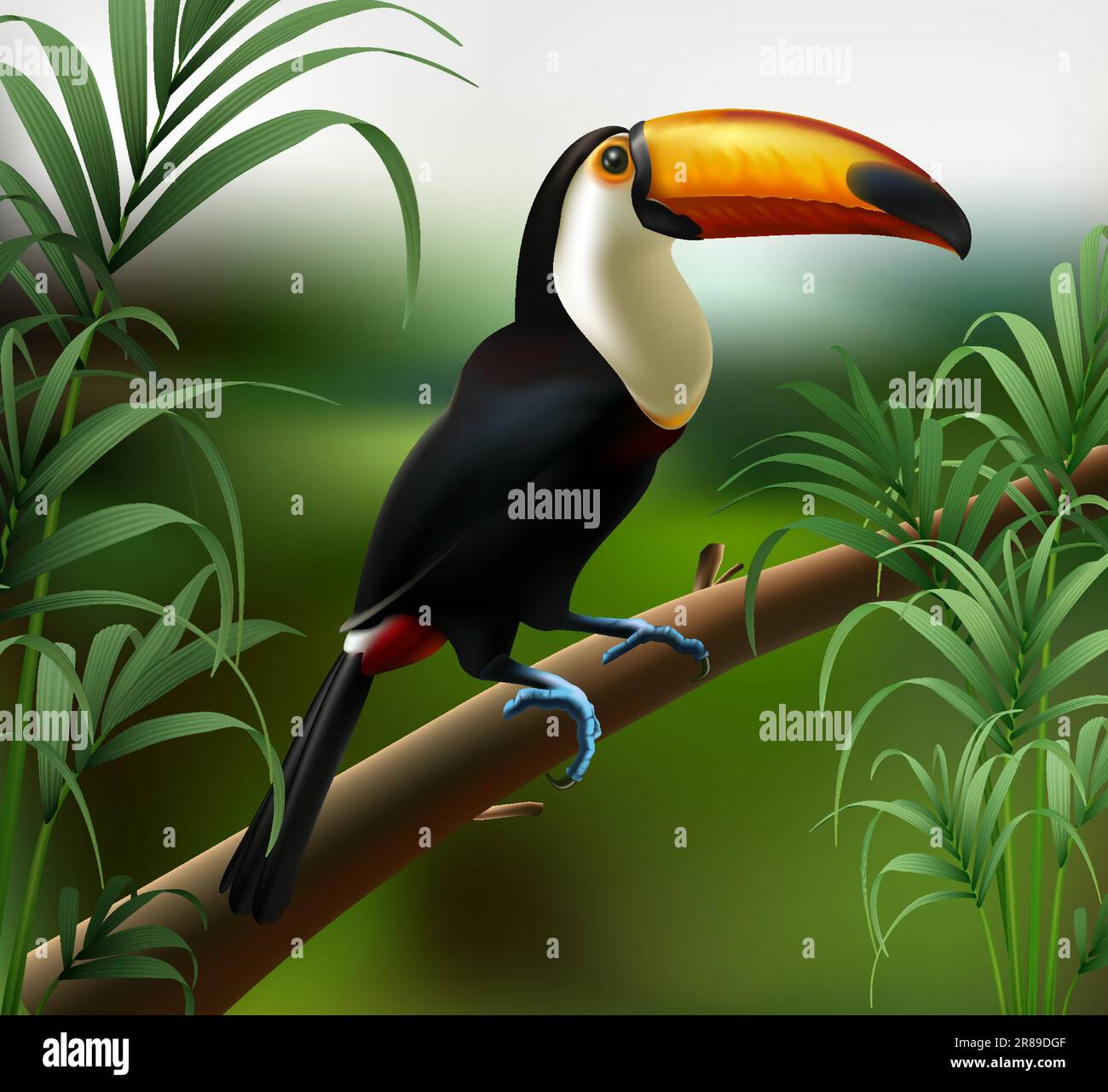Vector realistic illustration. Toucan bird. Jungle forest Stock Vector ...