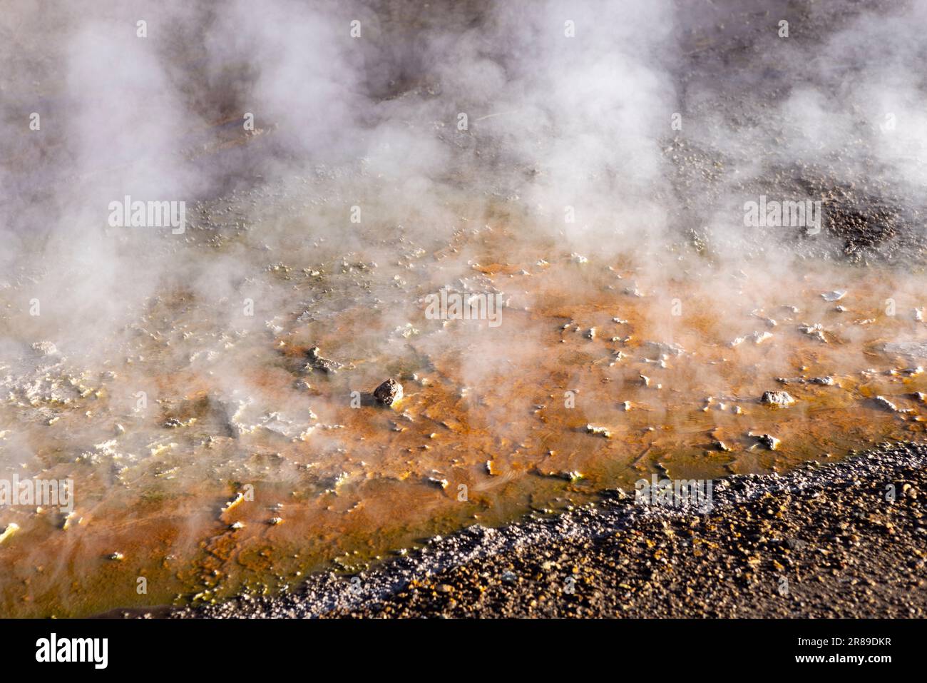 Exploring the fascinating geothermic fields of El Tatio with its ...