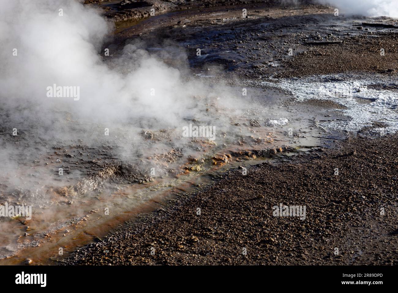 Exploring the fascinating geothermic fields of El Tatio with its ...