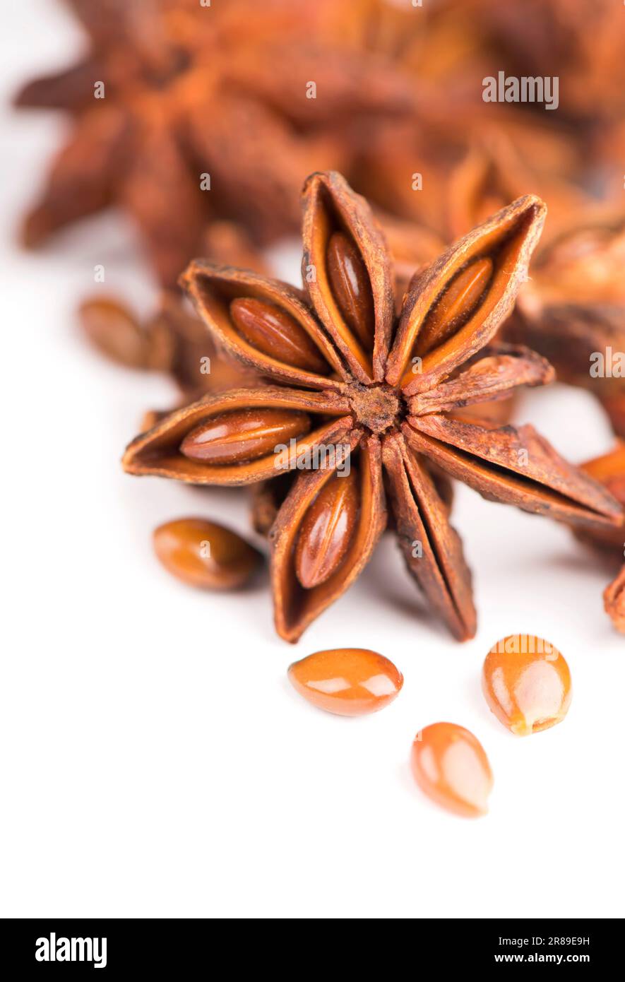 Whole Star Anise isolated on white background with shadow Stock Photo ...