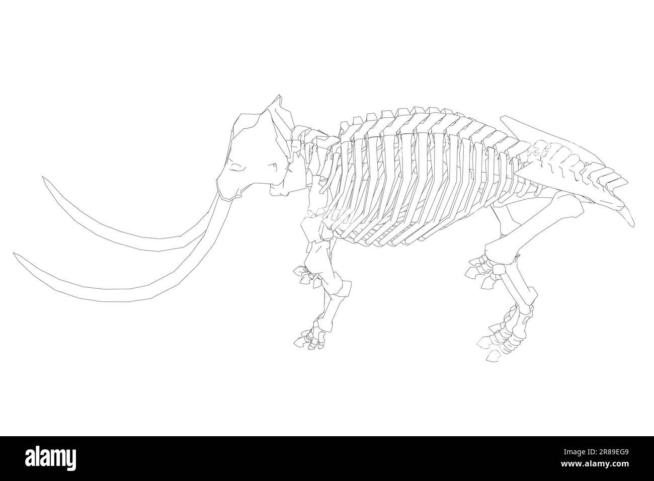 Vector Illustration of outline Mammoth Skeleton on Isolated White ...