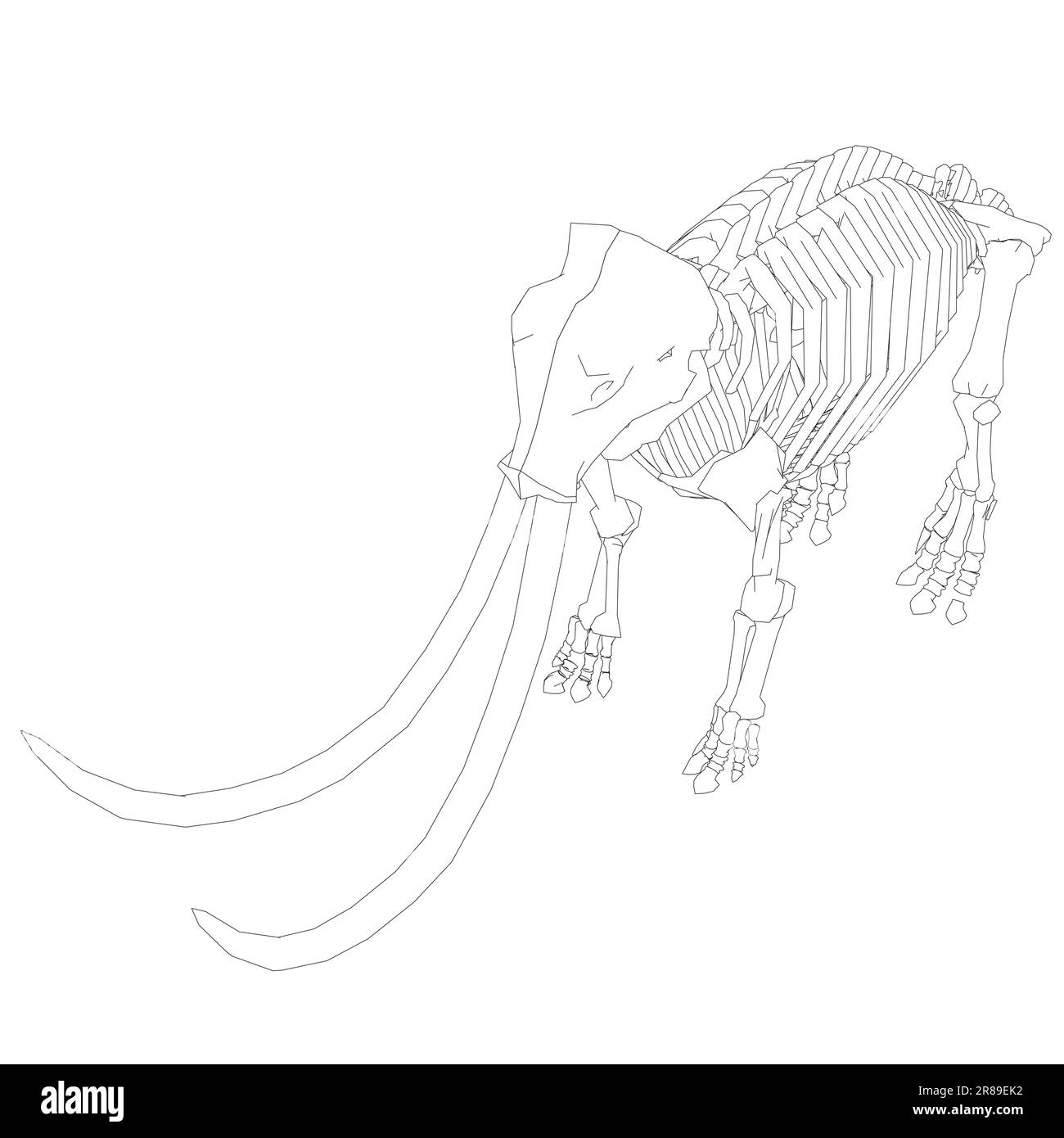 Vector Illustration of outline Mammoth Skeleton on Isolated White ...