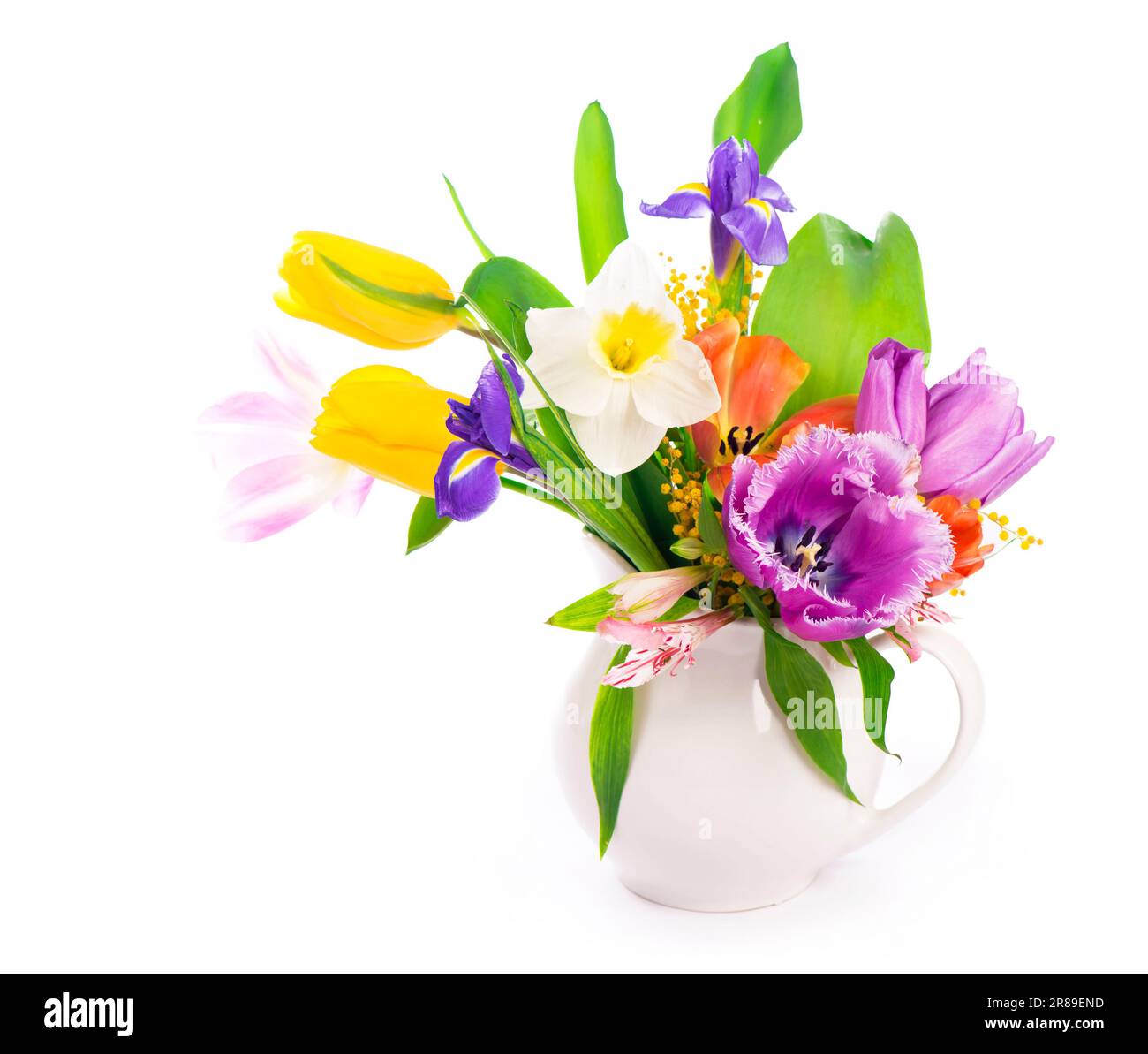 spring flowers isolated on a white background Stock Photo - Alamy