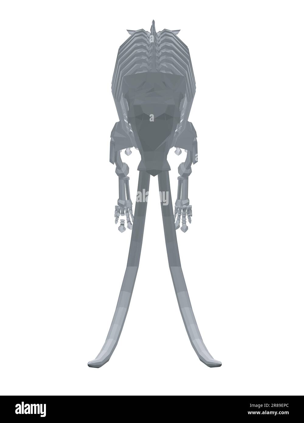 Vector Illustration of polygonal Mammoth Skeleton on Isolated White ...