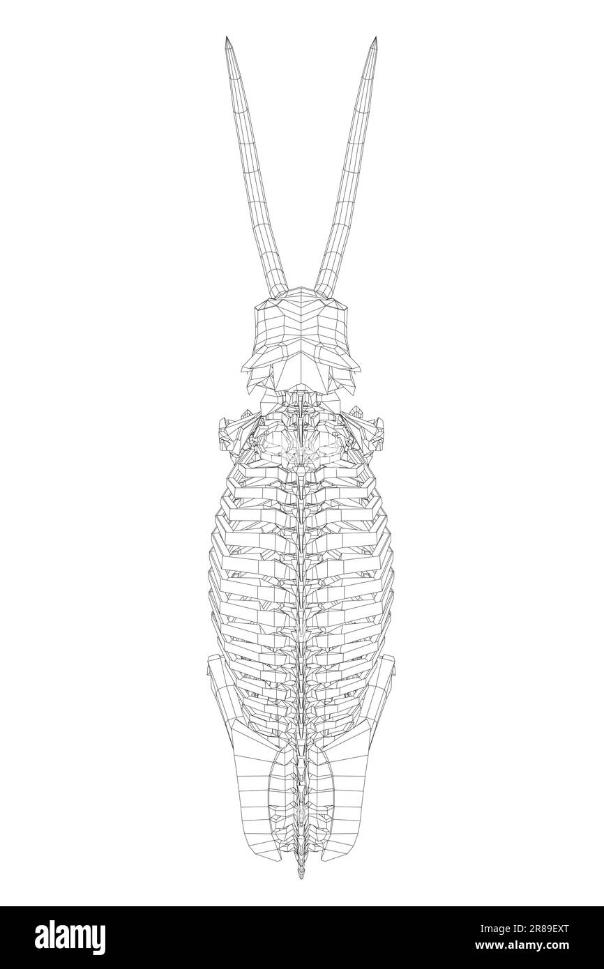 Vector Illustration of wireframe Mammoth Skeleton on Isolated White ...