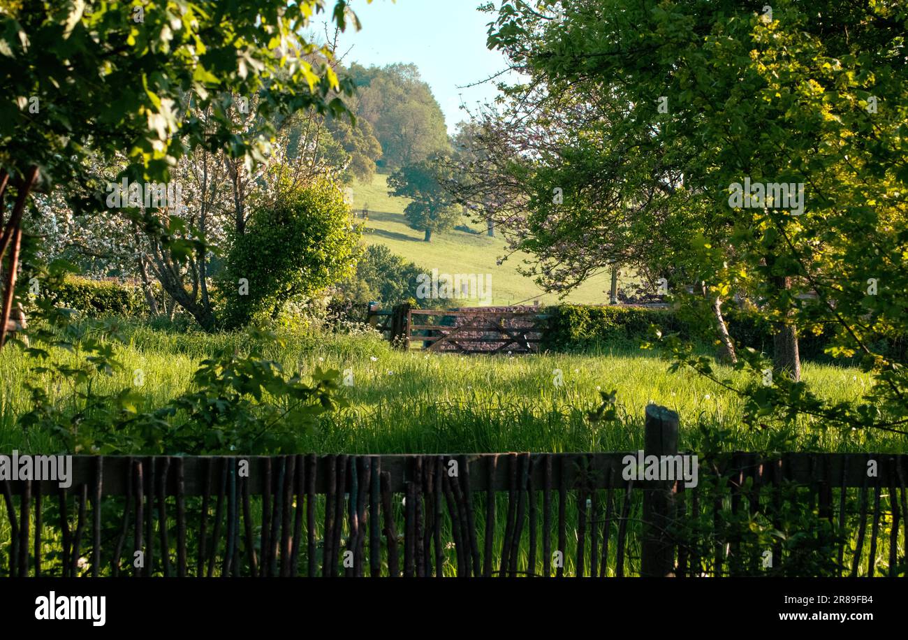 Rustic orchard hi-res stock photography and images - Alamy