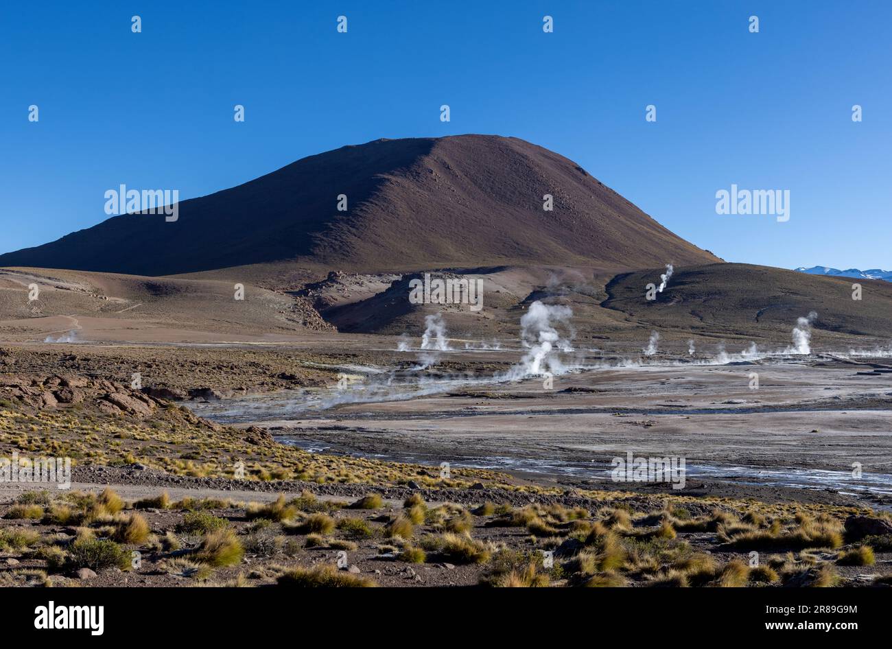 Exploring the fascinating geothermic fields of El Tatio with its ...