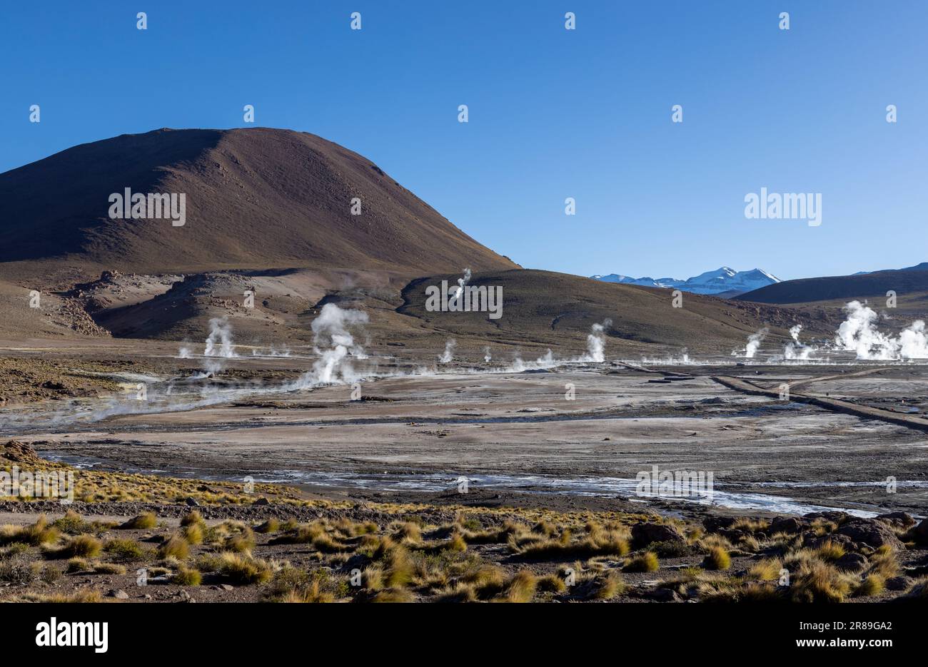 Exploring the fascinating geothermic fields of El Tatio with its ...