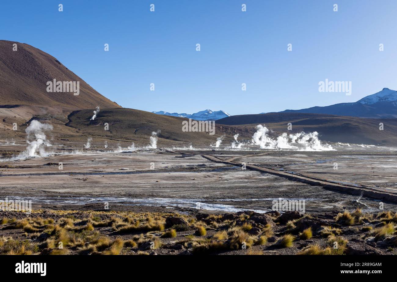 Exploring the fascinating geothermic fields of El Tatio with its ...