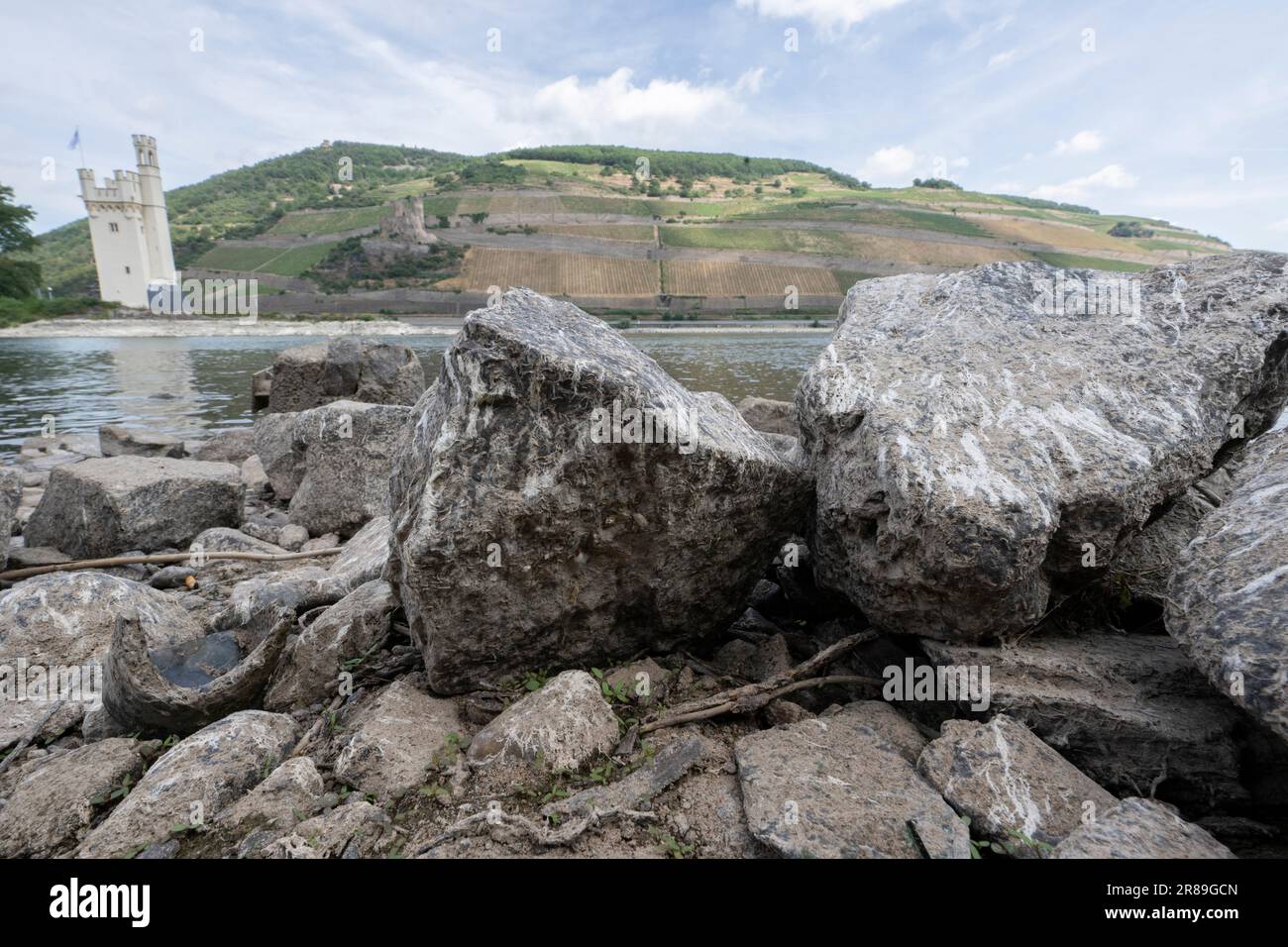 Bingen, Germany. 20th June, 2023. A ship sails past the Mäuseturm in ...