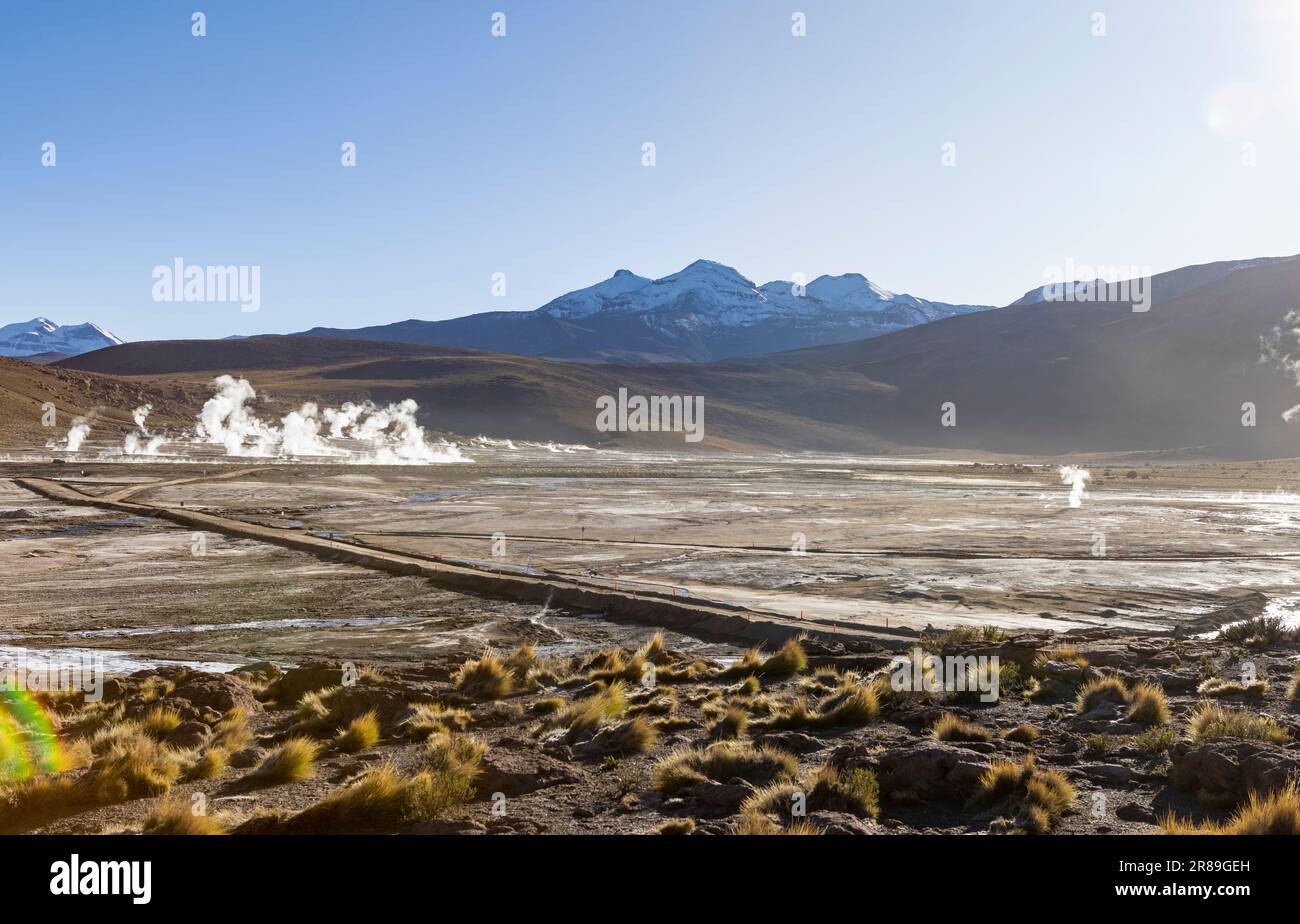 Exploring the fascinating geothermic fields of El Tatio with its ...