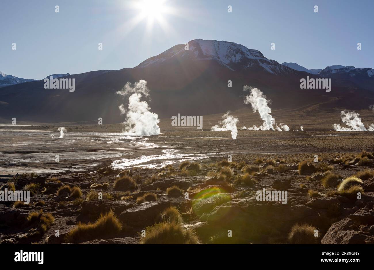 Exploring the fascinating geothermic fields of El Tatio with its ...